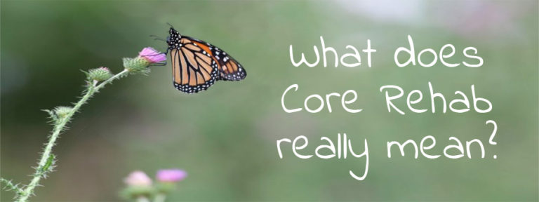 What Does Core Rehab Really Mean Strong Tummies what-does-core-rehab-really-mean-strong-tummies